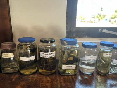 Index [erick0105.github.io]